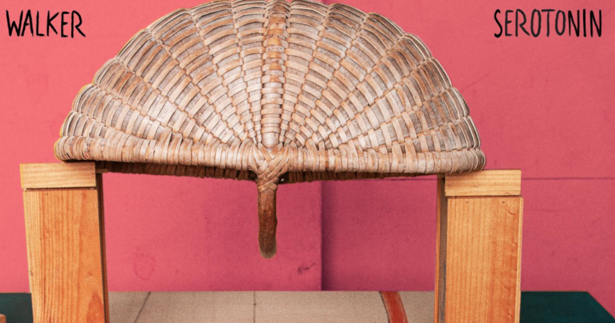 Serotonin - Tom Walker [Alle Farben Remix] - Dimensione Suono Roma